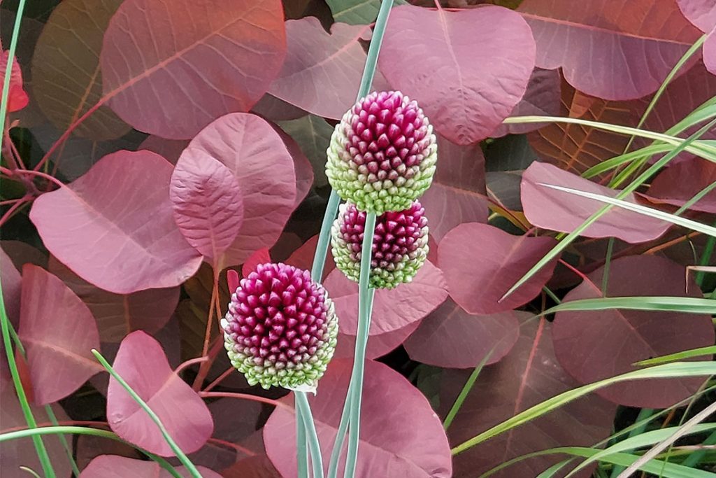 Rotary Young Photographer 2022: The national results - Rotary in Great ...