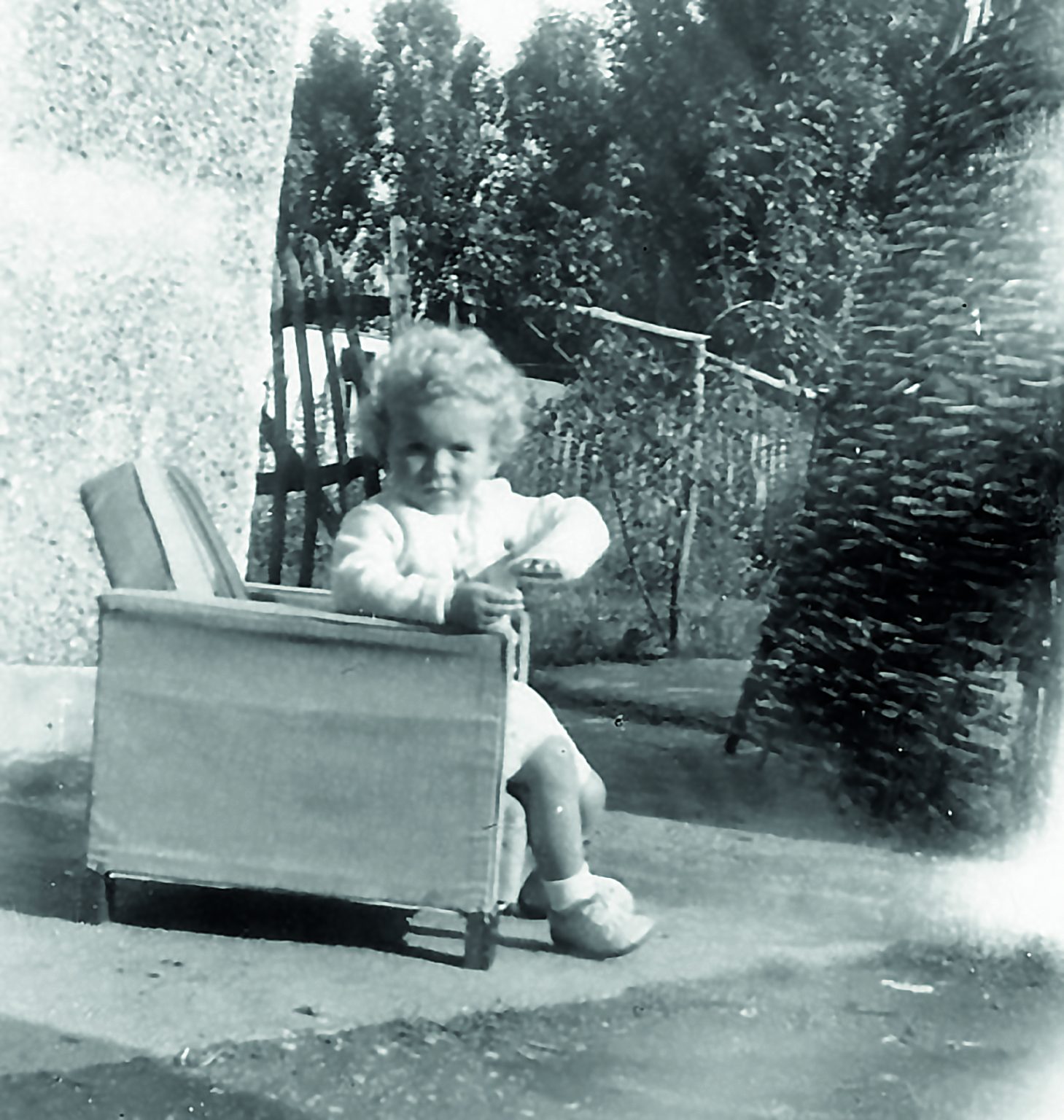 Living life as a polio survivor - Rotary in Great Britain and Ireland